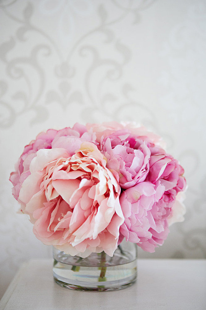 Salt Lake City Utah Boudoir and Beauty Photography